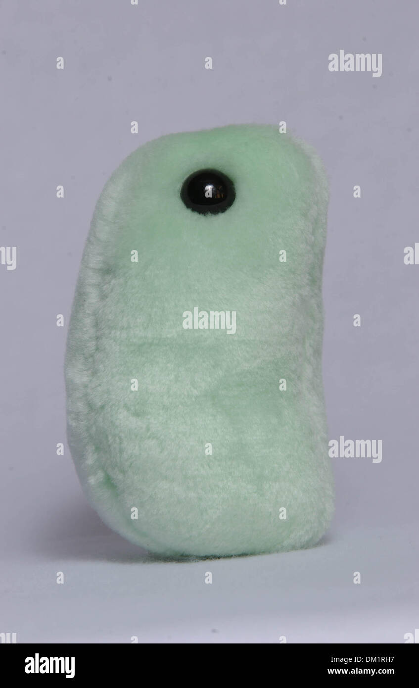 June 19, 2001 - K41227AR .GIANT MICROBES . ANDREA RENAULT/ EAR THE FLU ...