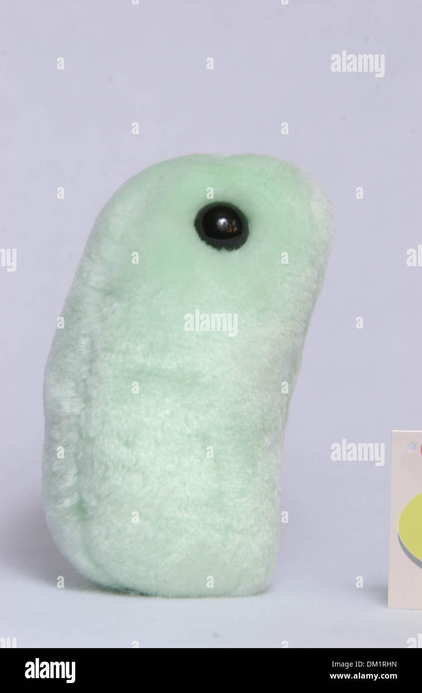 June 19, 2001 - K41227AR .GIANT MICROBES . ANDREA RENAULT/ EAR THE FLU ...