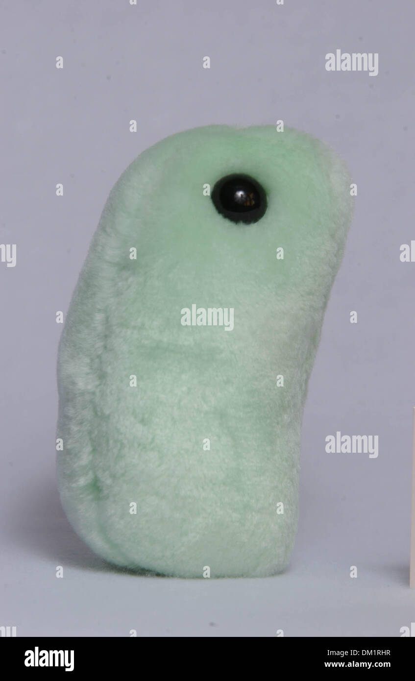 June 19, 2001 - K41227AR .GIANT MICROBES . ANDREA RENAULT/ EAR THE FLU ...