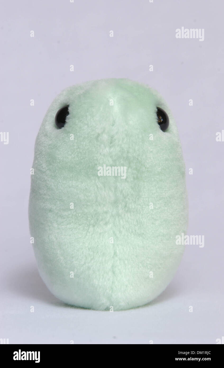 June 19, 2001 - K41227AR .GIANT MICROBES . ANDREA RENAULT/ EAR THE FLU ...