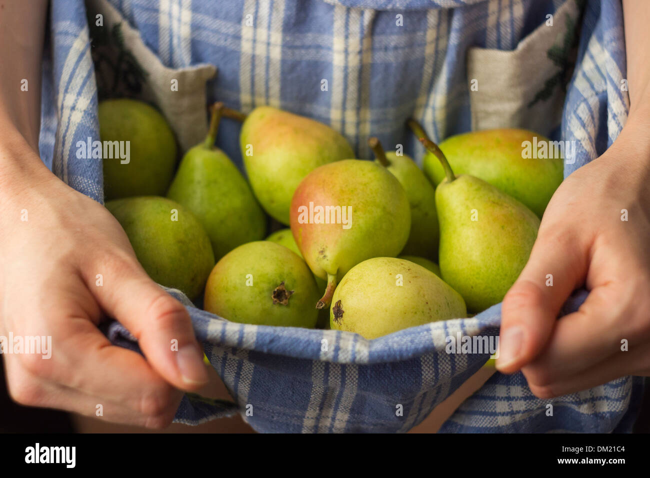 Hands holding pears hi-res stock photography and images - Alamy