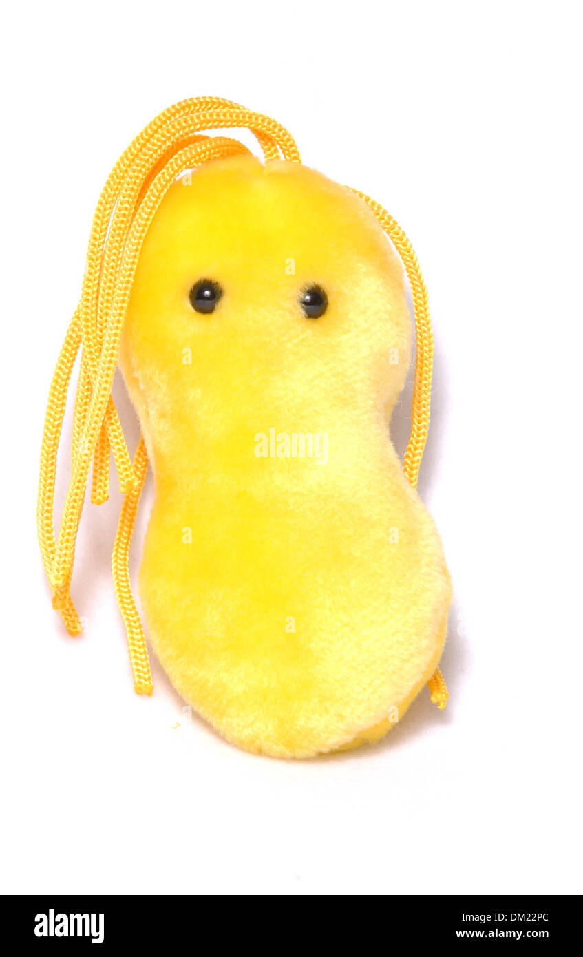 June 16, 2001 - K41227AR .GIANT MICROBES. ANDREA RENAULT/ ULCER ...