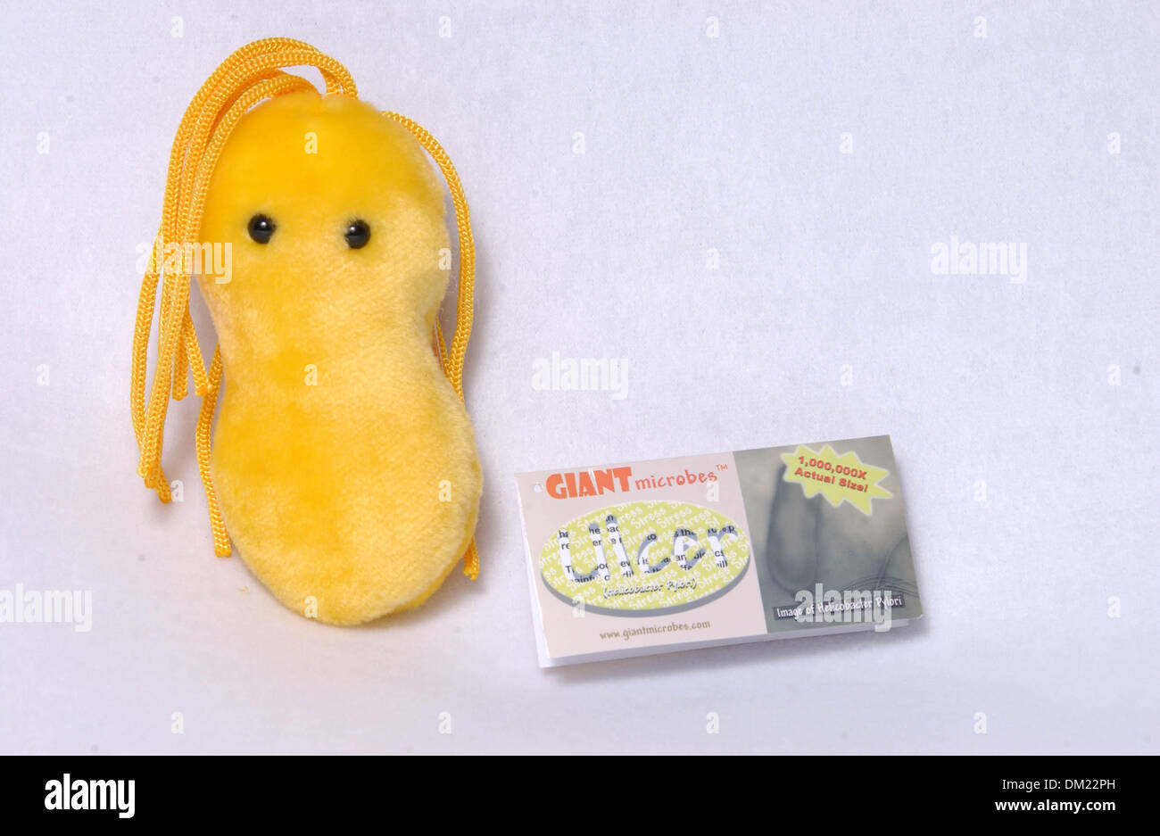 June 16, 2001 - K41227AR .GIANT MICROBES. ANDREA RENAULT/ ULCER ...