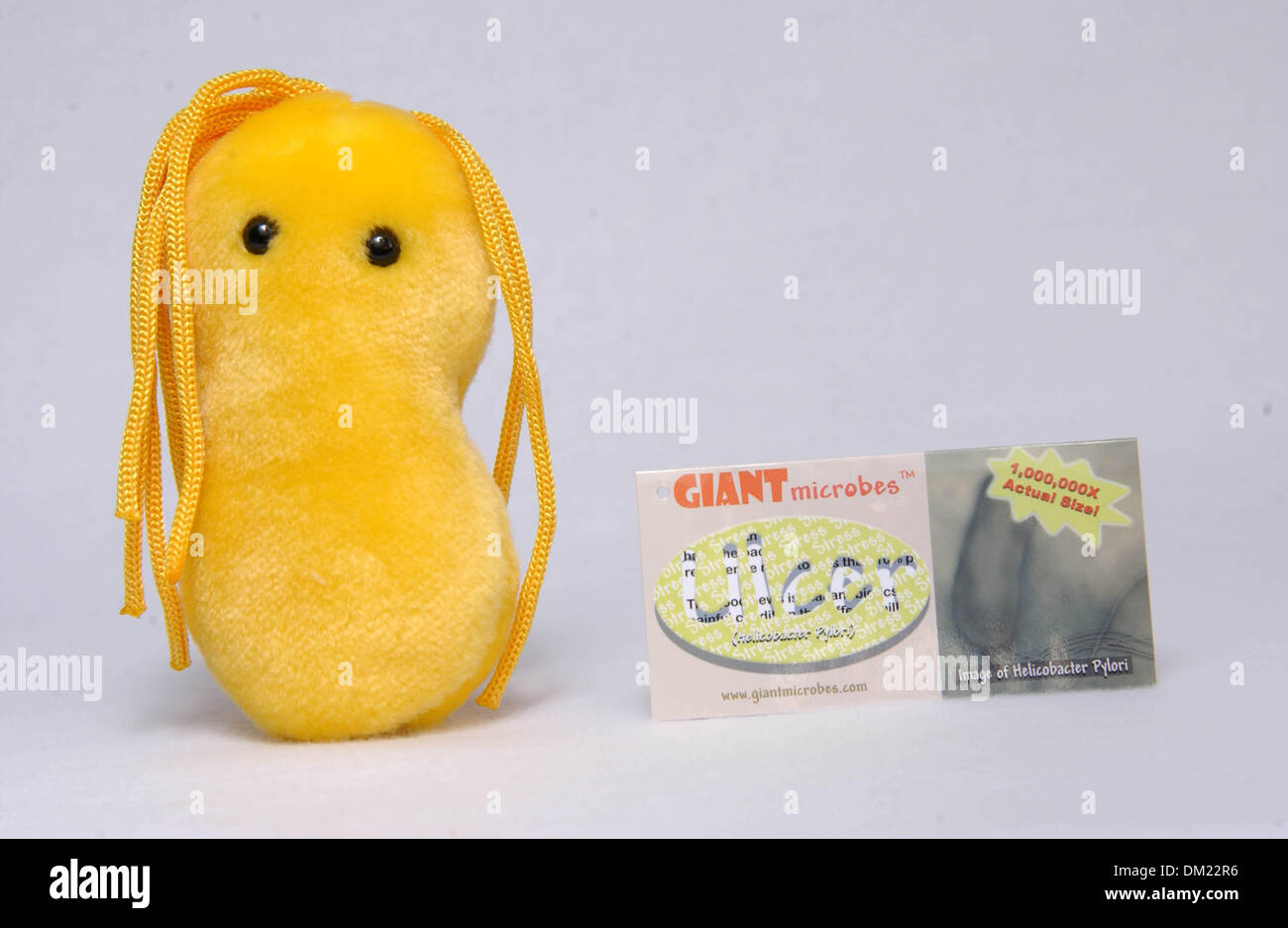 June 19, 2001 - K41266AR .GIANT MICROBES . ANDREA RENAULT/ EAR ULCER ...