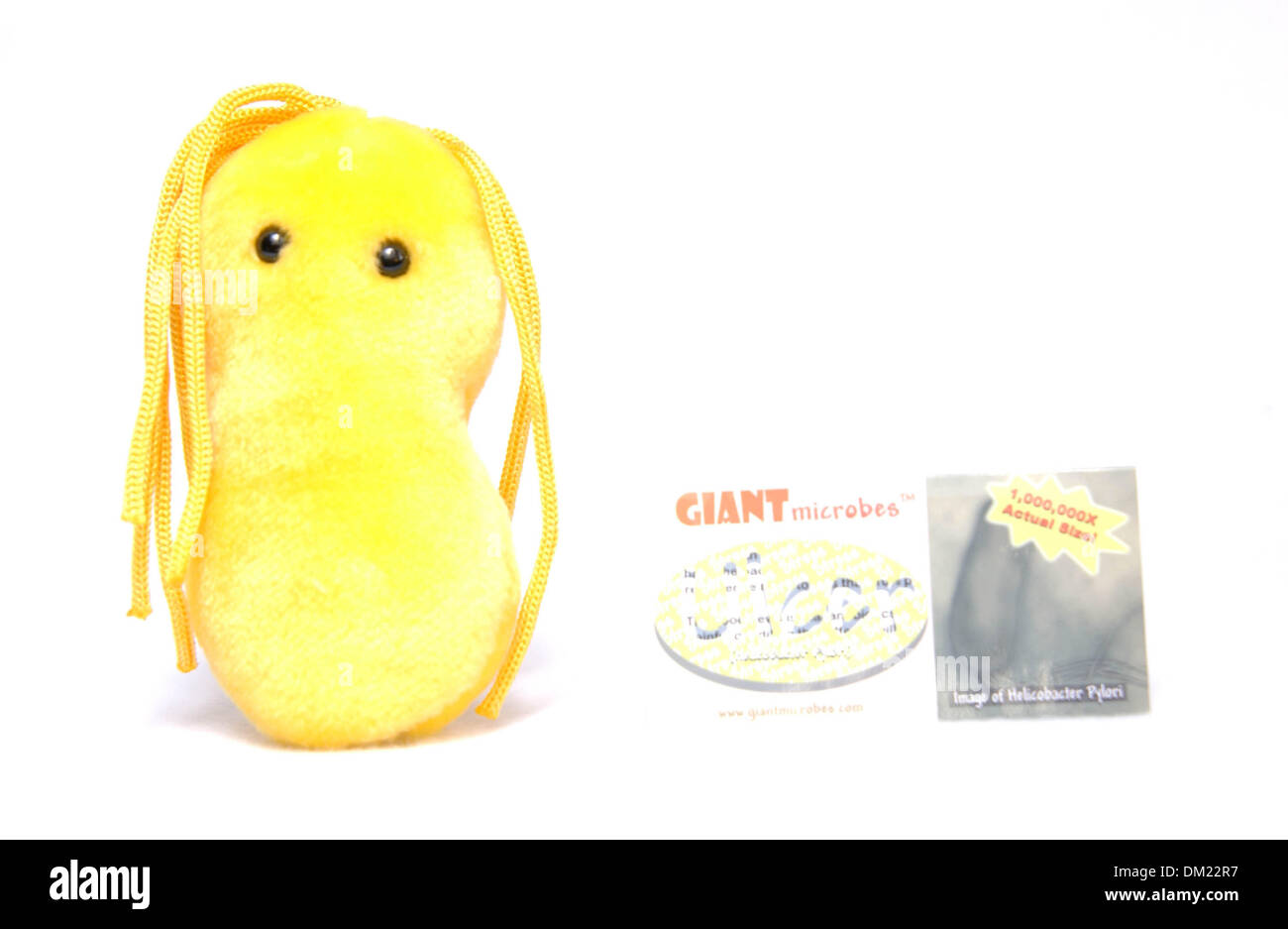 June 19, 2001 - K41266AR .GIANT MICROBES . ANDREA RENAULT/ EAR ULCER ...