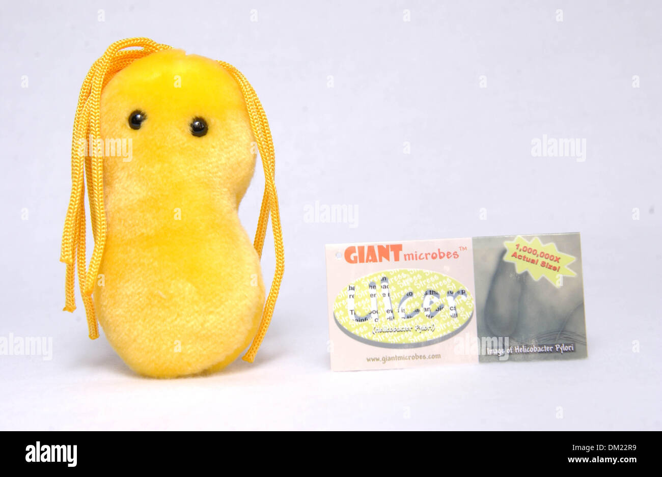 June 19, 2001 - K41266AR .GIANT MICROBES . ANDREA RENAULT/ EAR ULCER ...