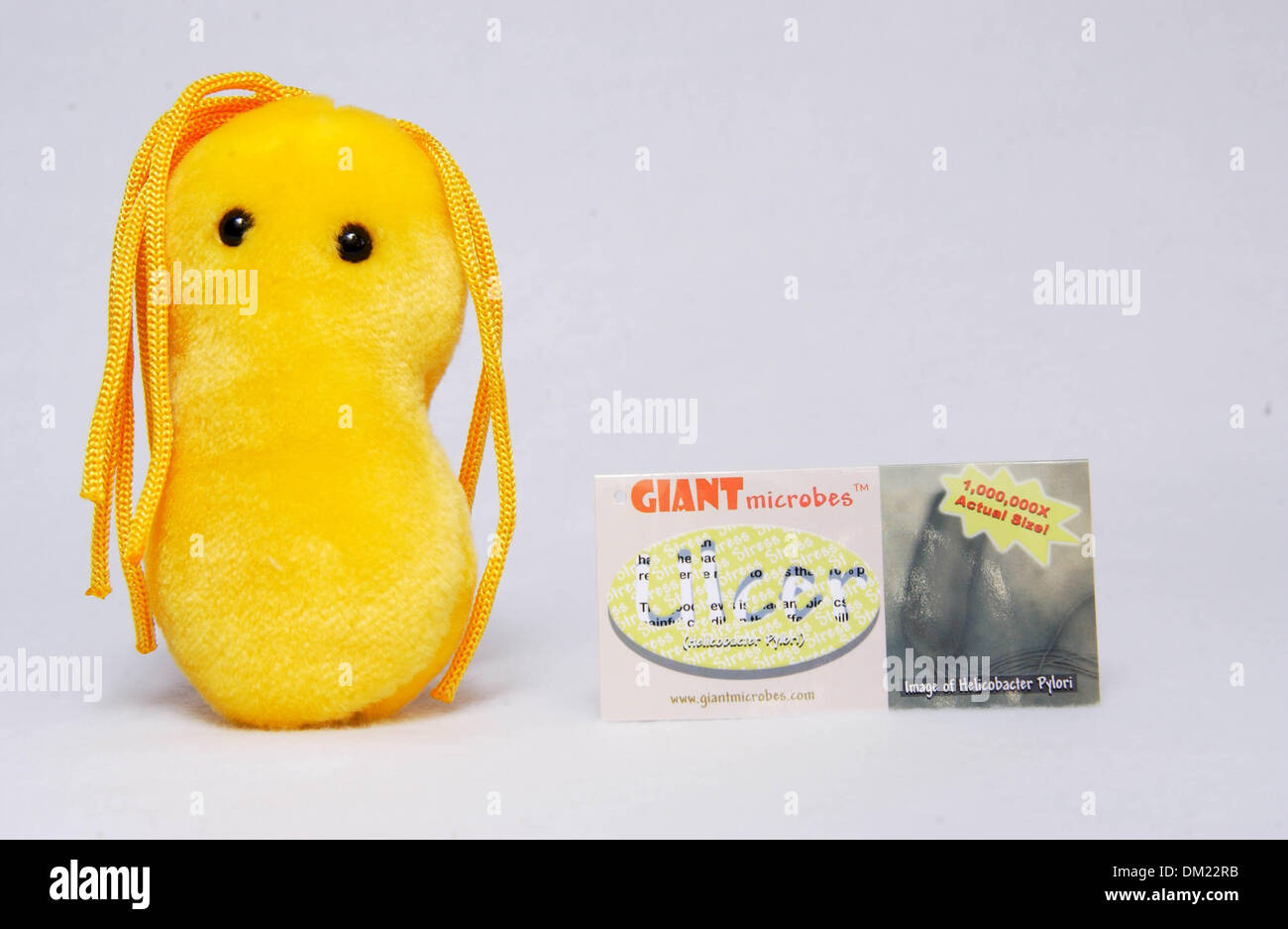 June 19, 2001 - K41266AR .GIANT MICROBES . ANDREA RENAULT/ EAR ULCER ...