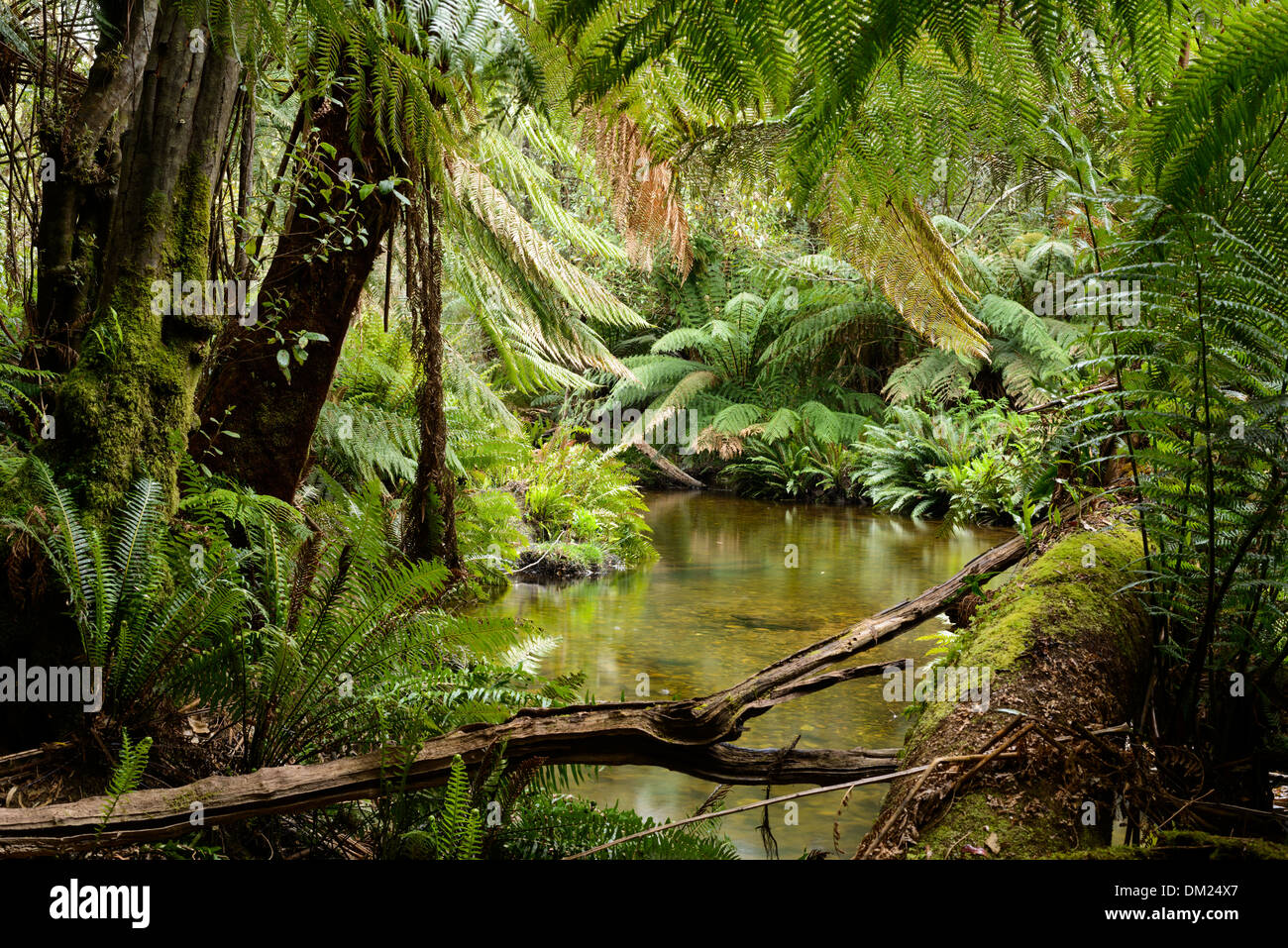 Evercreech hi-res stock photography and images - Alamy