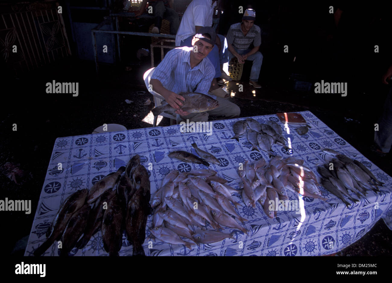 Tripoli fish market, Libya Stock Photo - Alamy