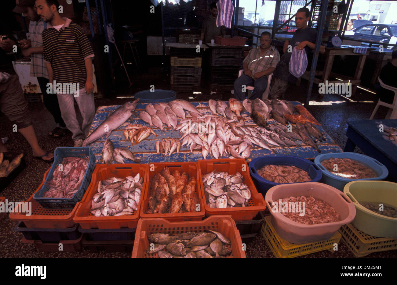 Tripoli fish market, Libya Stock Photo - Alamy