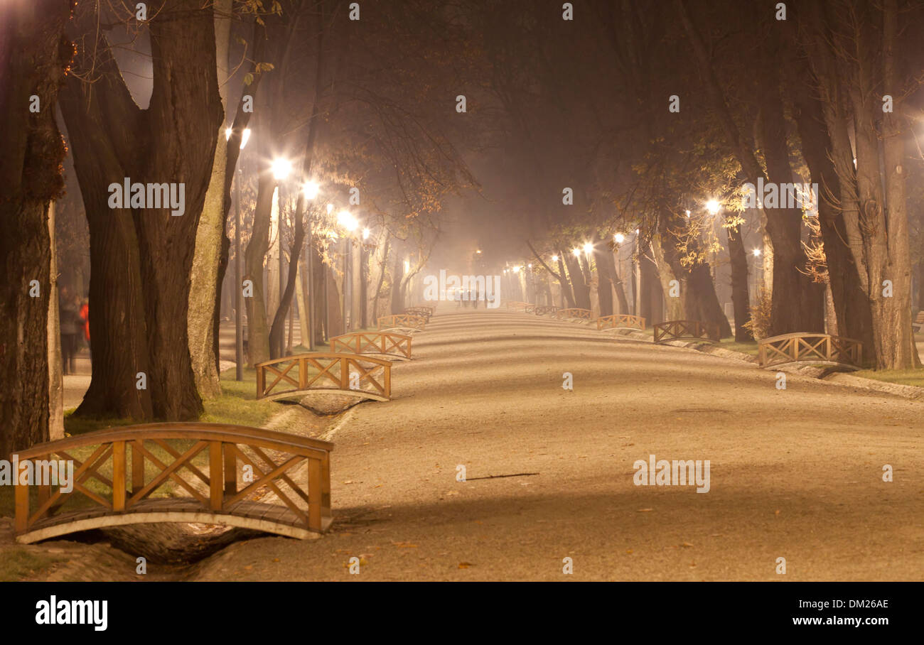 Tree in fog night illumination hi-res stock photography and images - Alamy