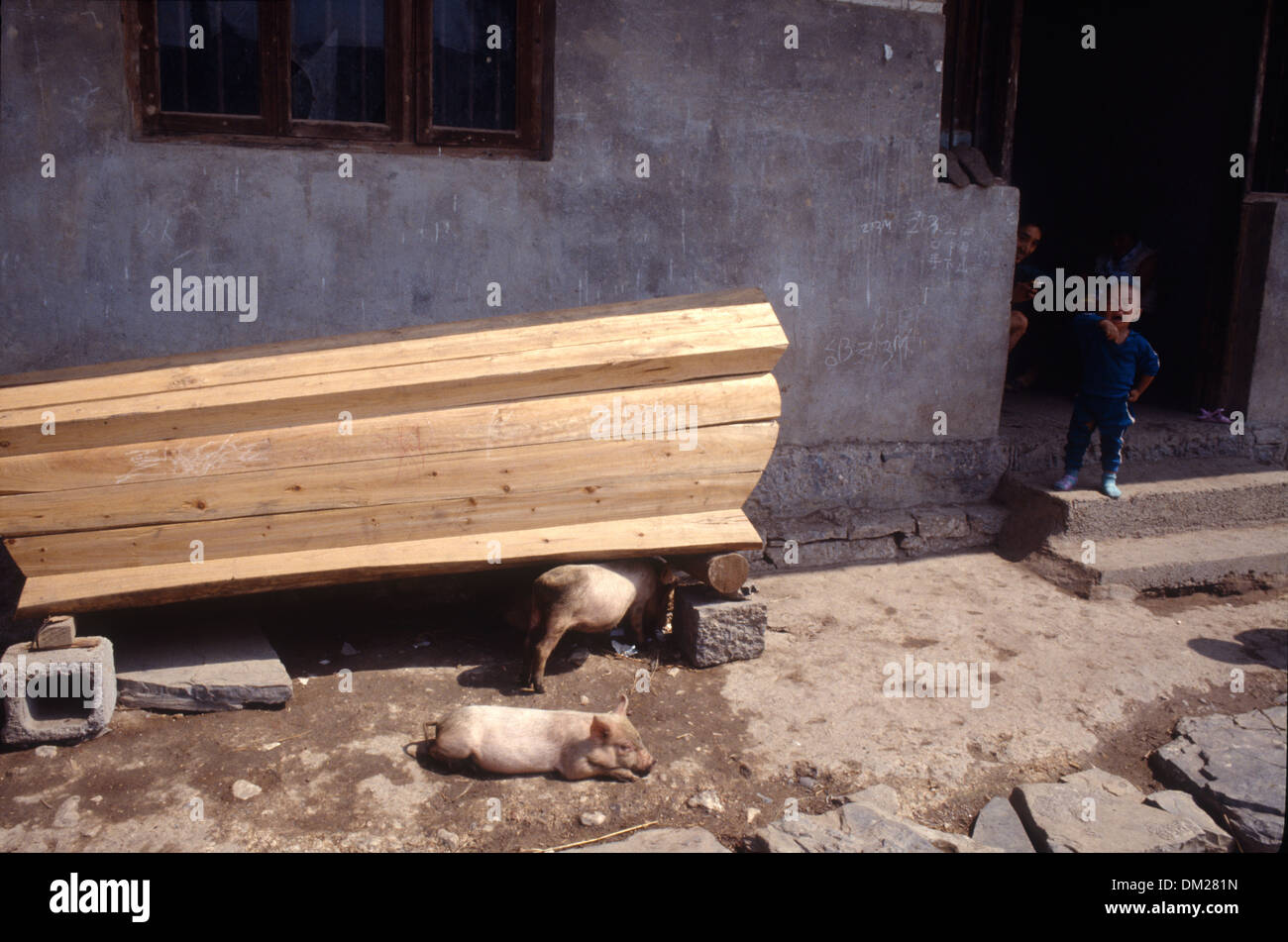 A new wooden coffin is placed outside a house below the window in Hunan ...