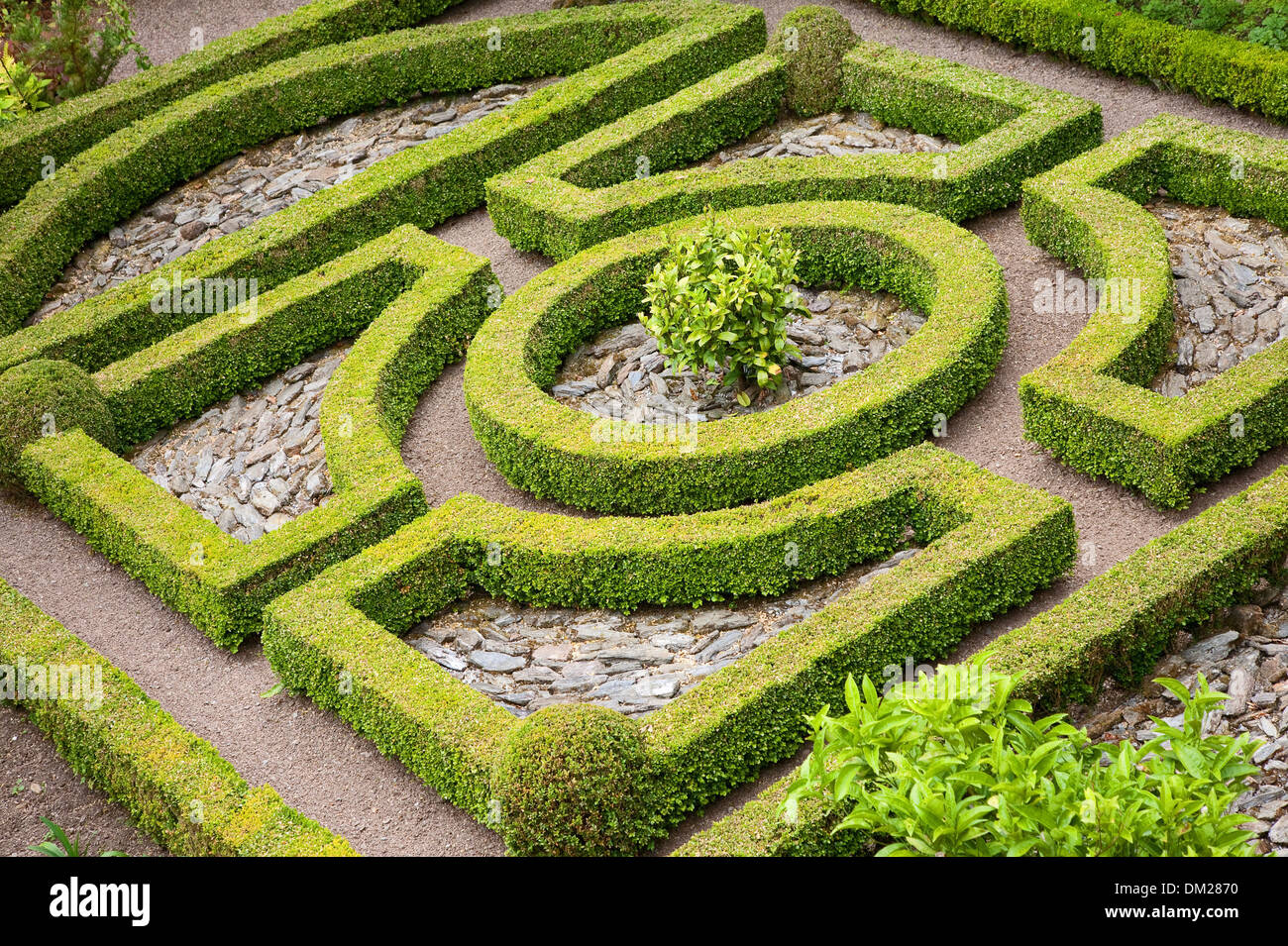 Traditional English box hedge knot garden with pebbles Stock Photo - Alamy