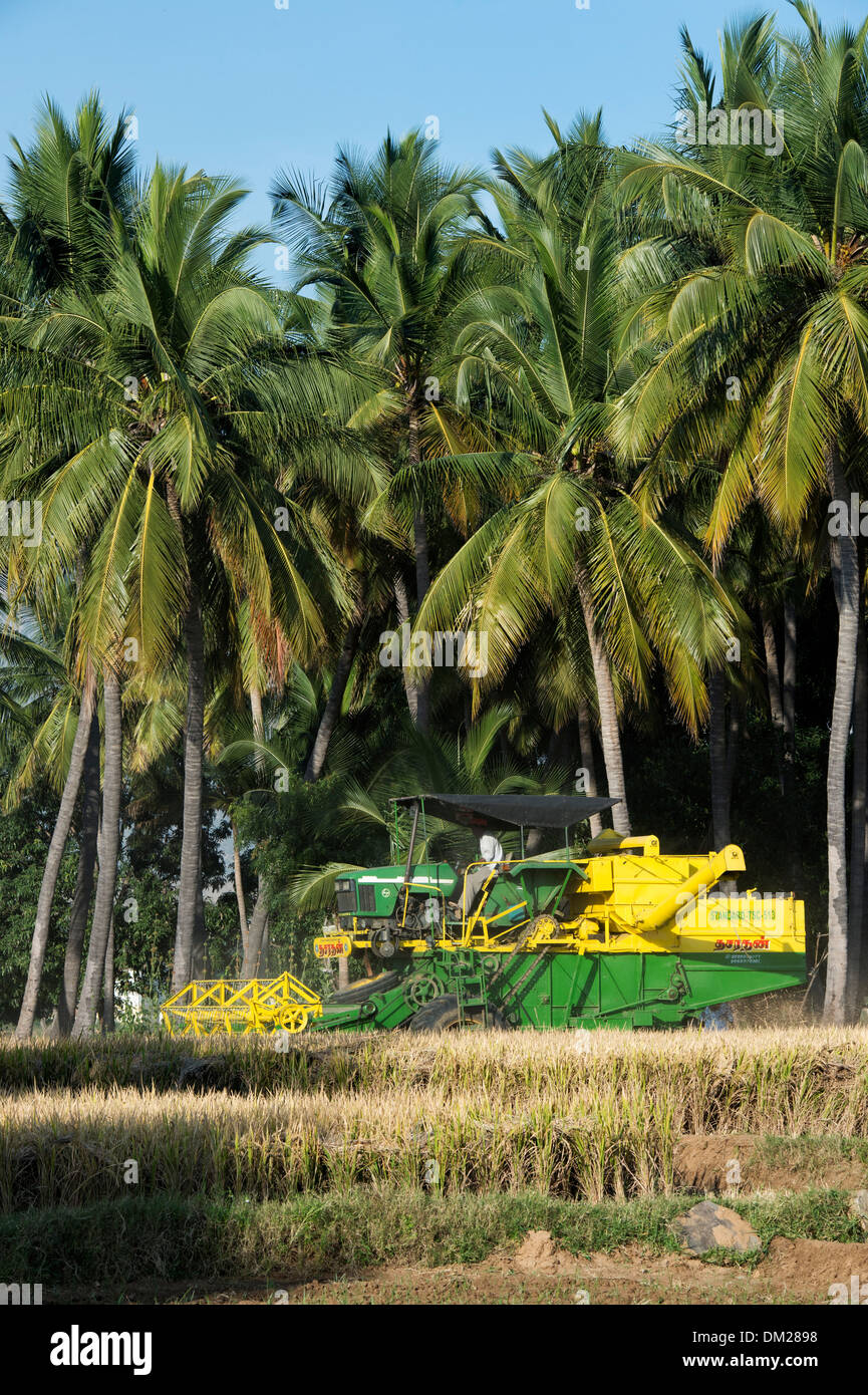 Indian Combine harvester harvesting rice crop. Andhra Pradesh, india ...