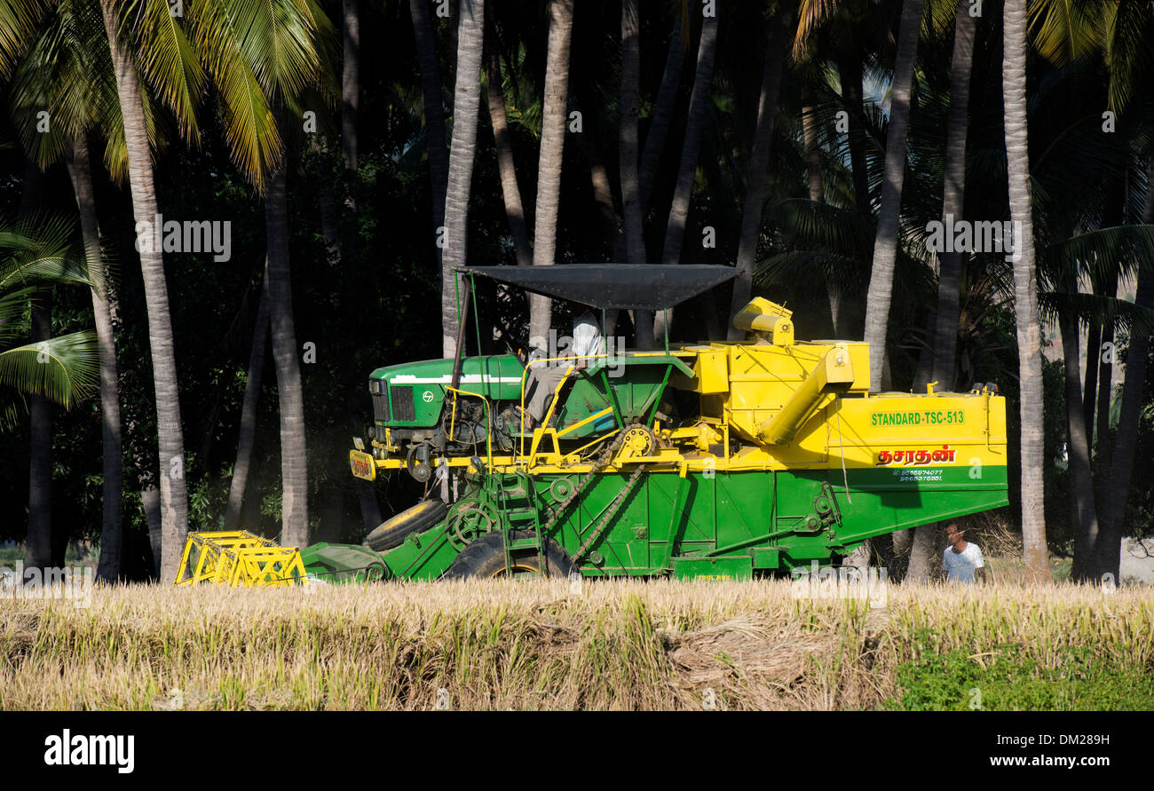 Mechanical harvesting rice hi-res stock photography and images - Alamy