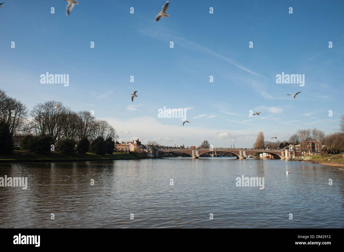The River Thames and Hampton Court Bridge, Surrey, England Stock Photo ...