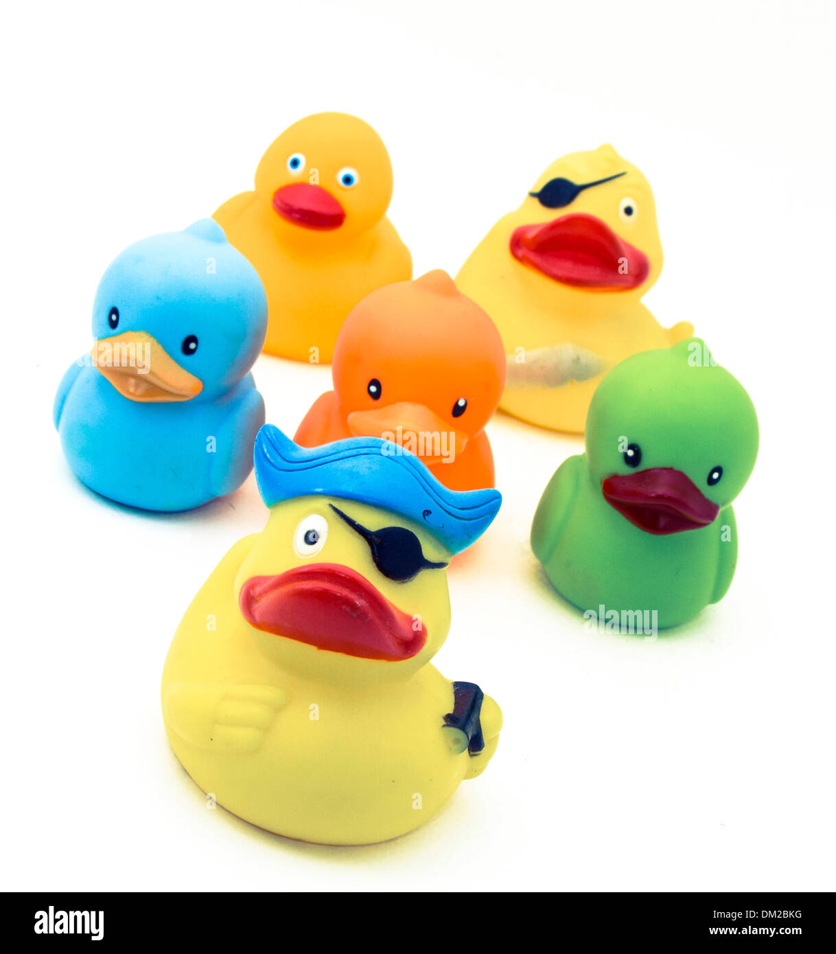 Group of duck Cut Out Stock Images & Pictures - Alamy