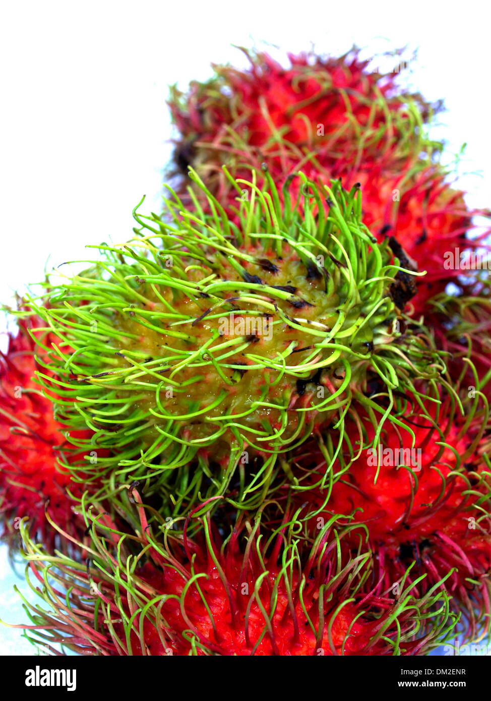 Tropical fruit, rambutan Stock Photo - Alamy