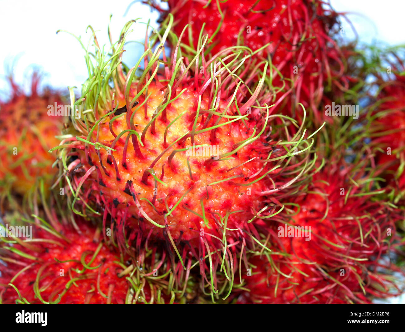 Tropical fruit, rambutan Stock Photo - Alamy