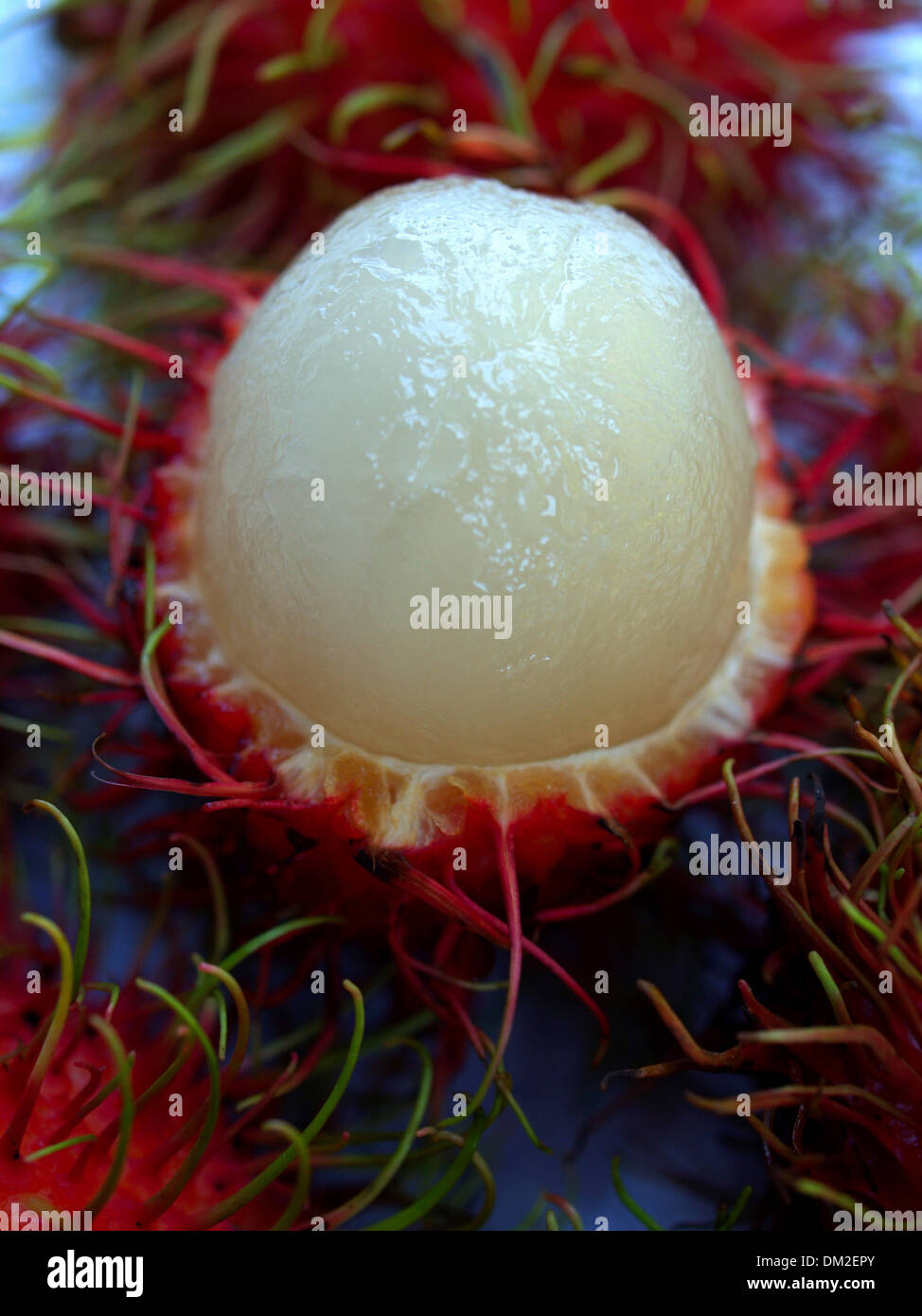 Tropical fruit, rambutan Stock Photo - Alamy