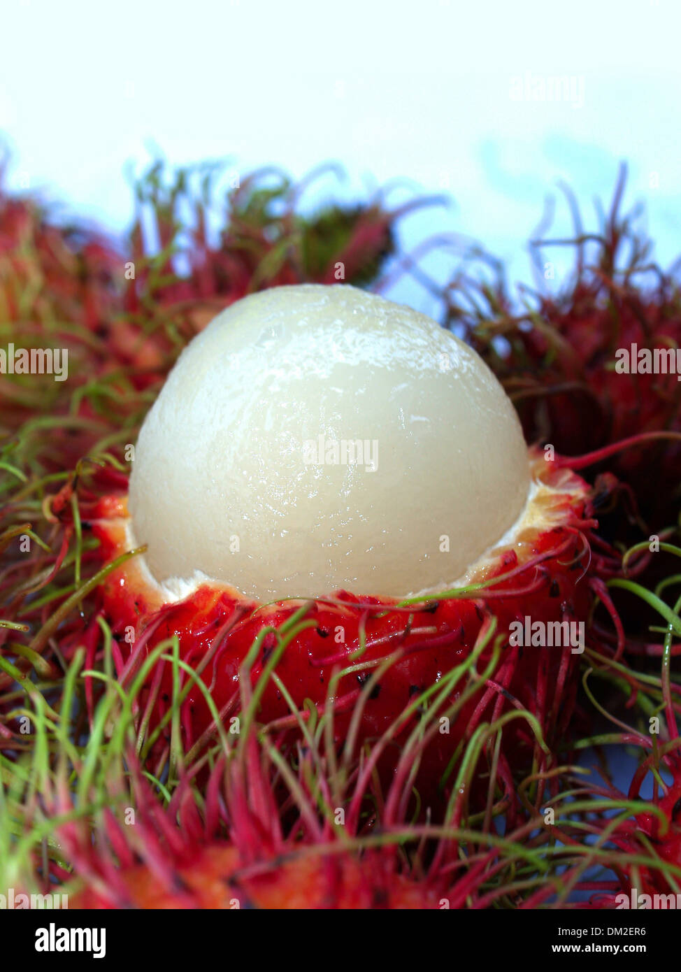 Tropical fruit, rambutan Stock Photo - Alamy