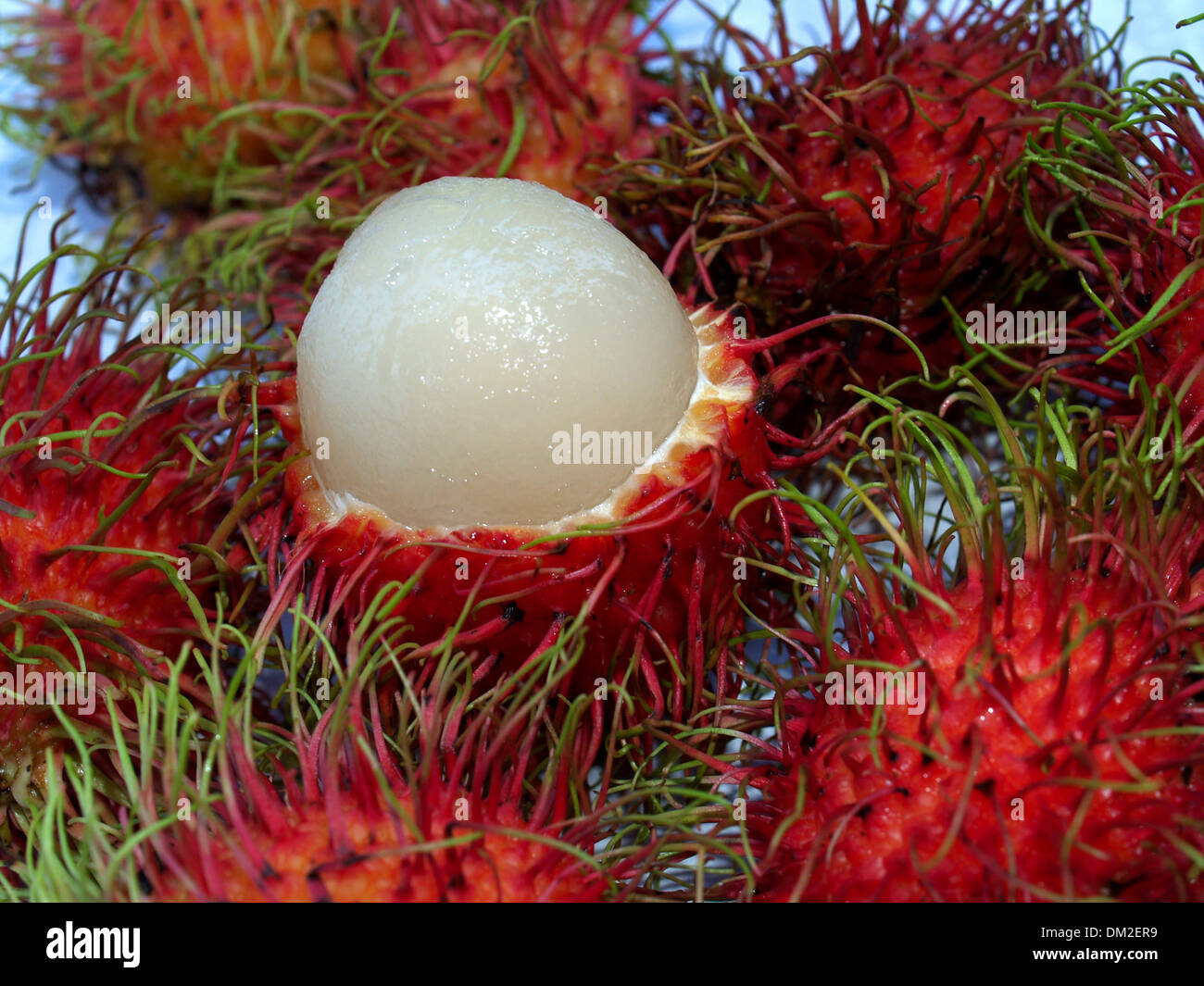 Tropical fruit, rambutan Stock Photo - Alamy