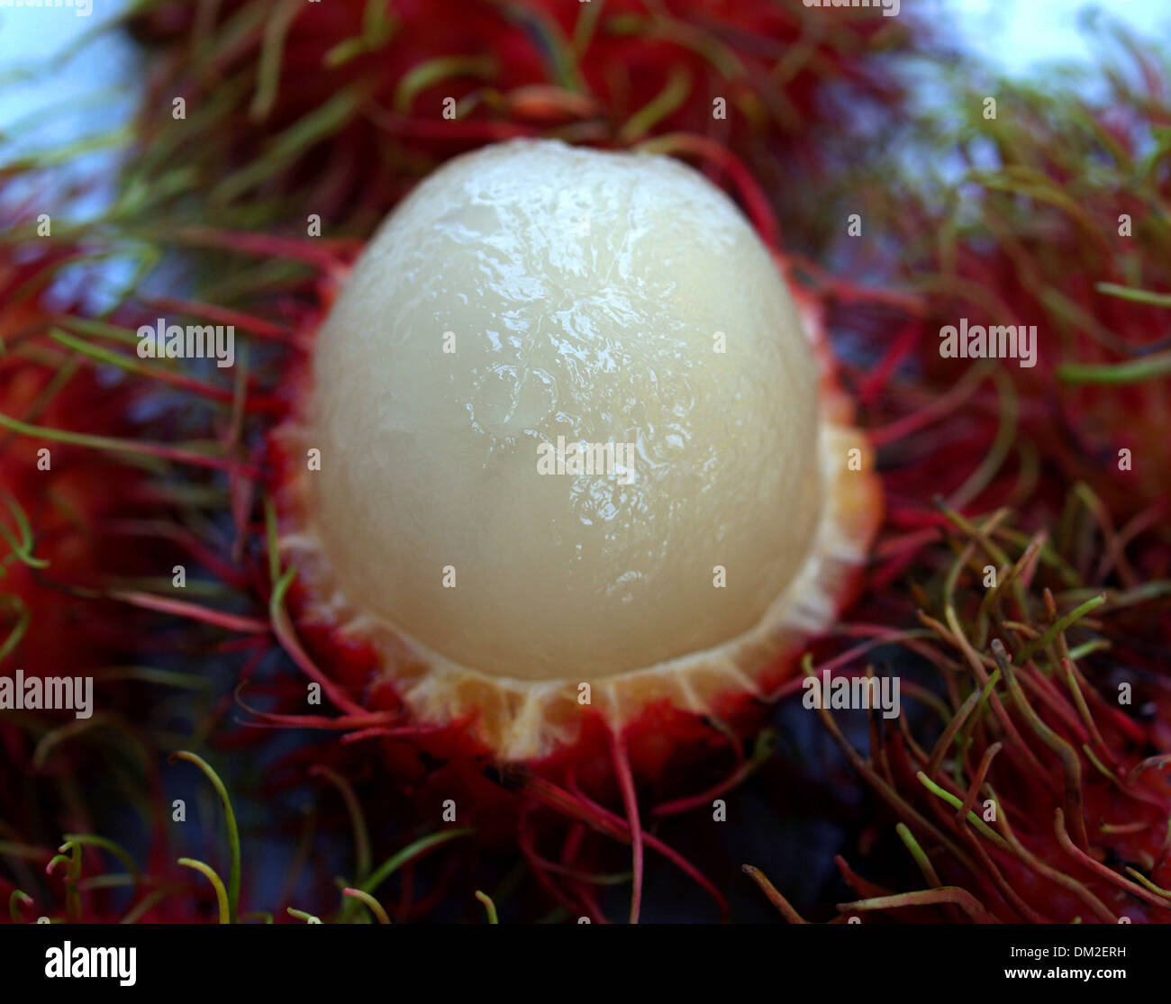 Tropical fruit, rambutan Stock Photo - Alamy