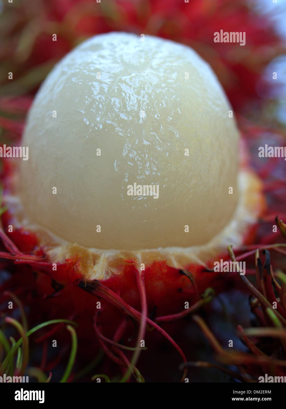Tropical fruit, rambutan Stock Photo - Alamy