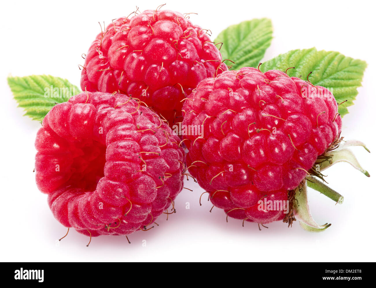 Raspberries with leaves isolated on a white background Stock Photo - Alamy