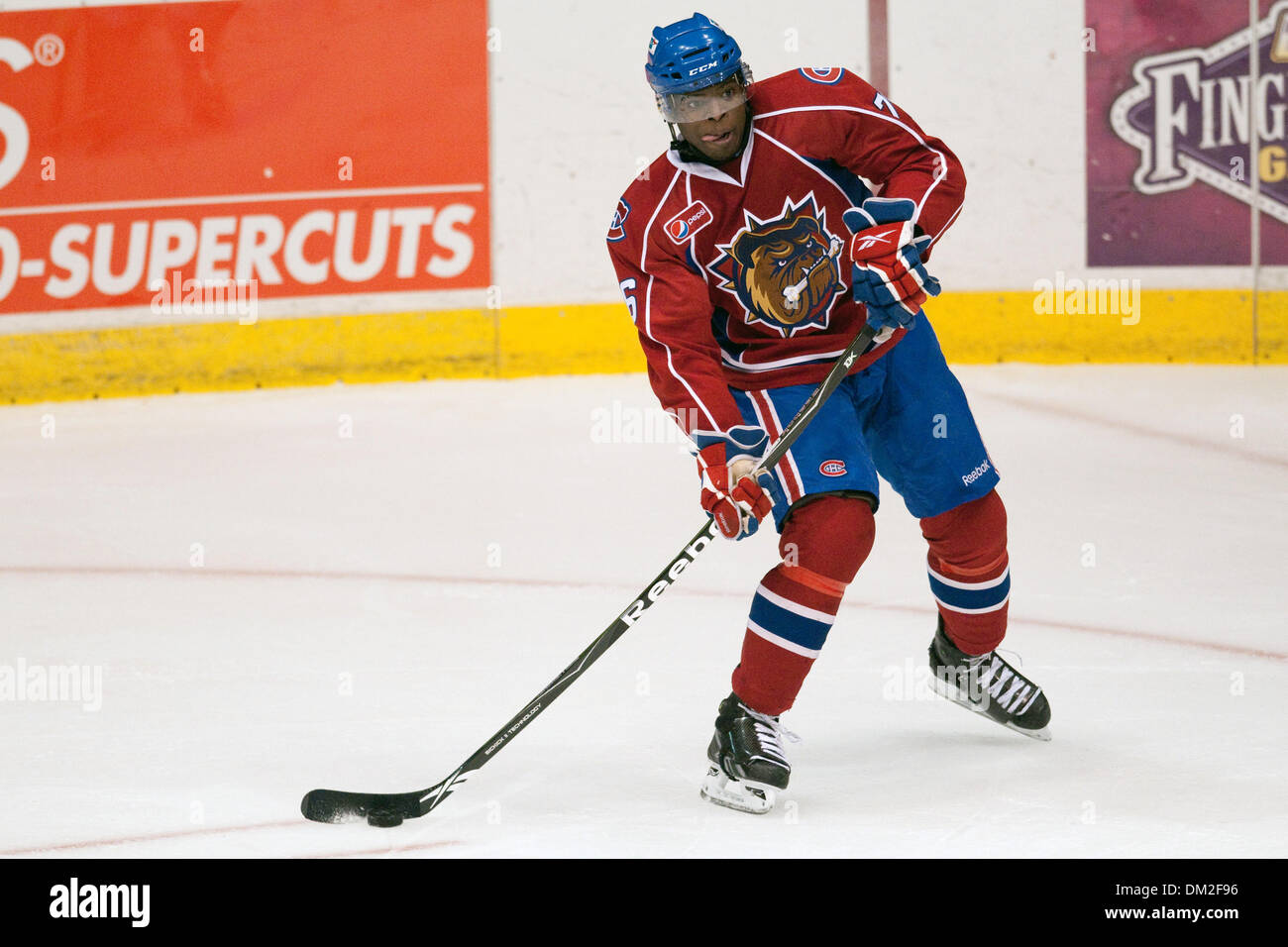 Hamilton Bulldogs Logo