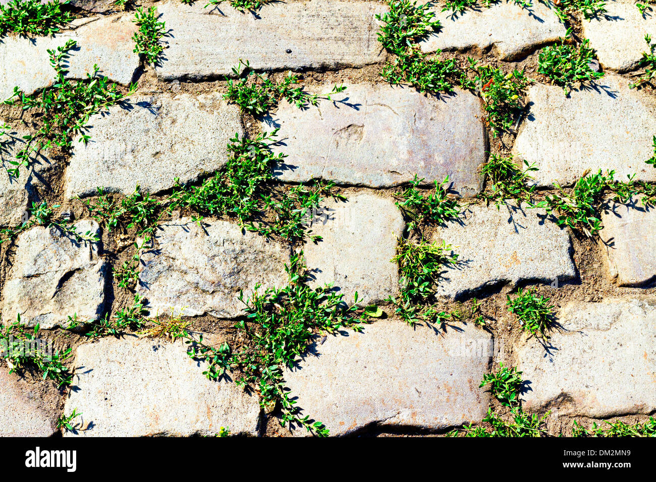 background stone pavement with grass sprouted between the stones Stock ...