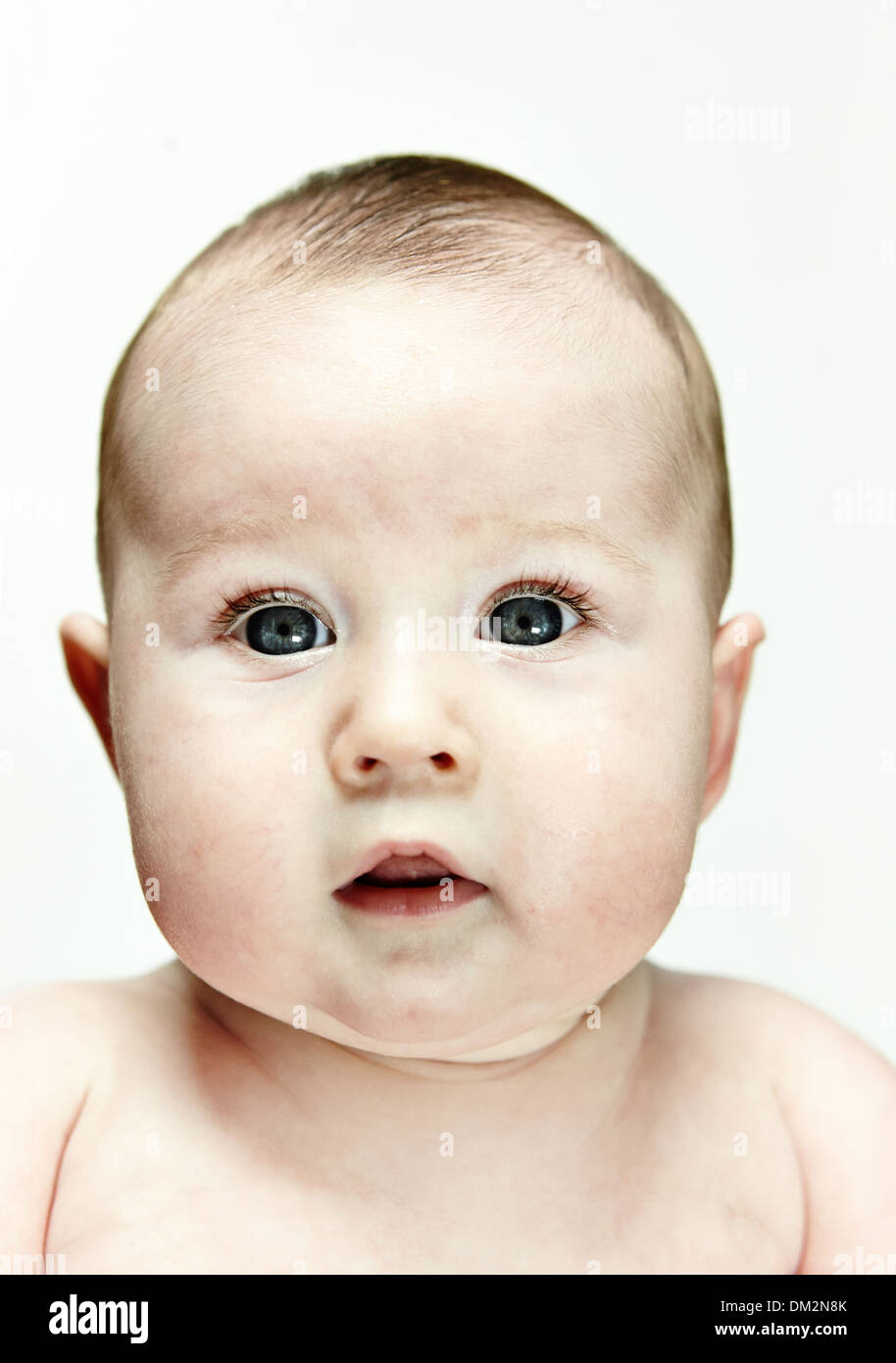 A 4 month hi-res stock photography and images - Alamy