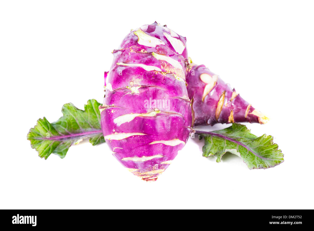 Kohlrabi root isolated on white background Stock Photo - Alamy