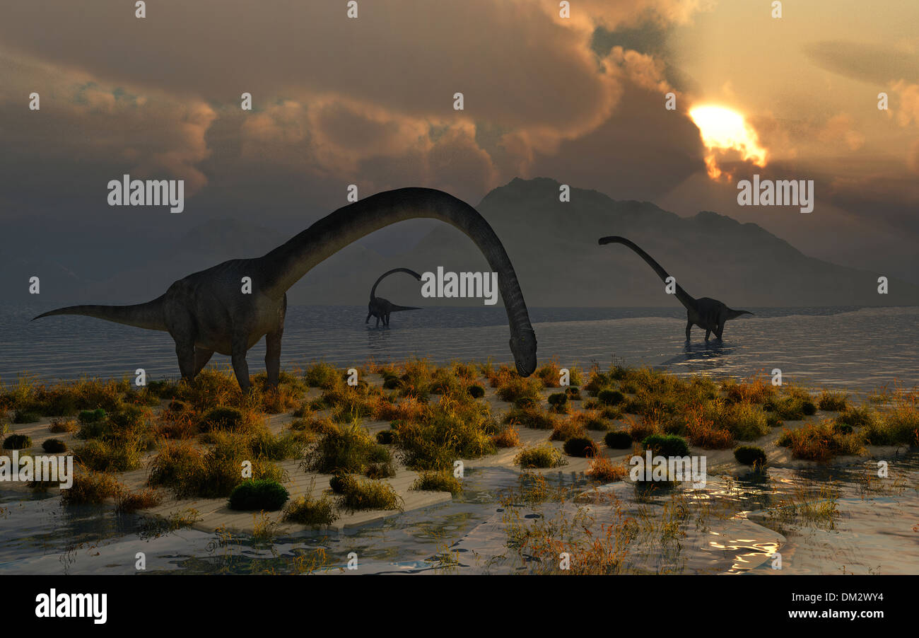 Sauropods hi-res stock photography and images - Alamy