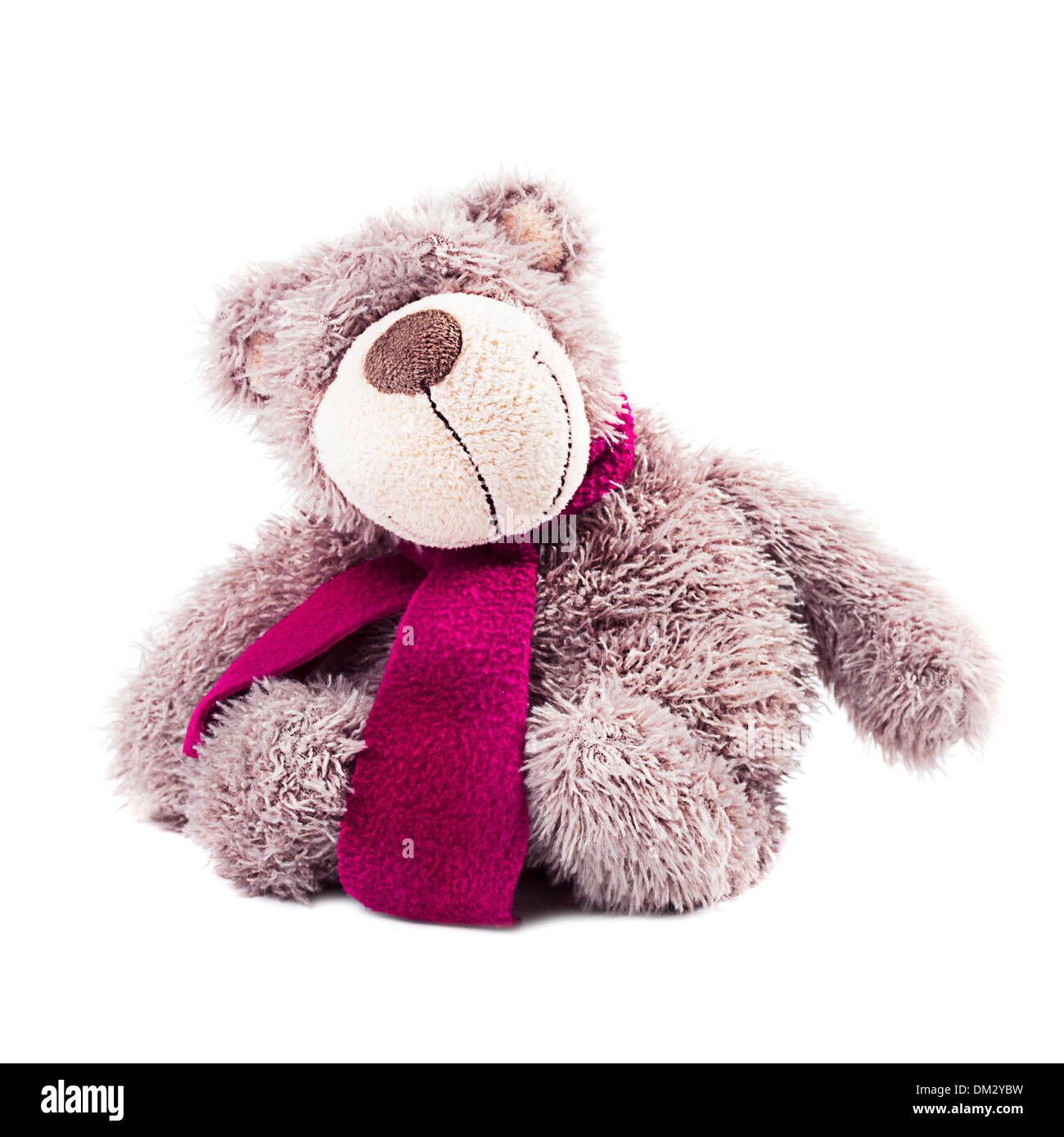 Tebby bear - plush toy, isolated on white Stock Photo - Alamy