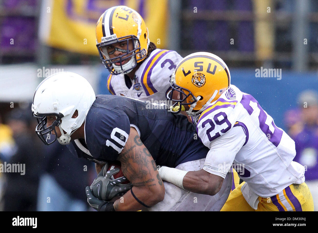 Quarless hi-res stock photography and images - Alamy