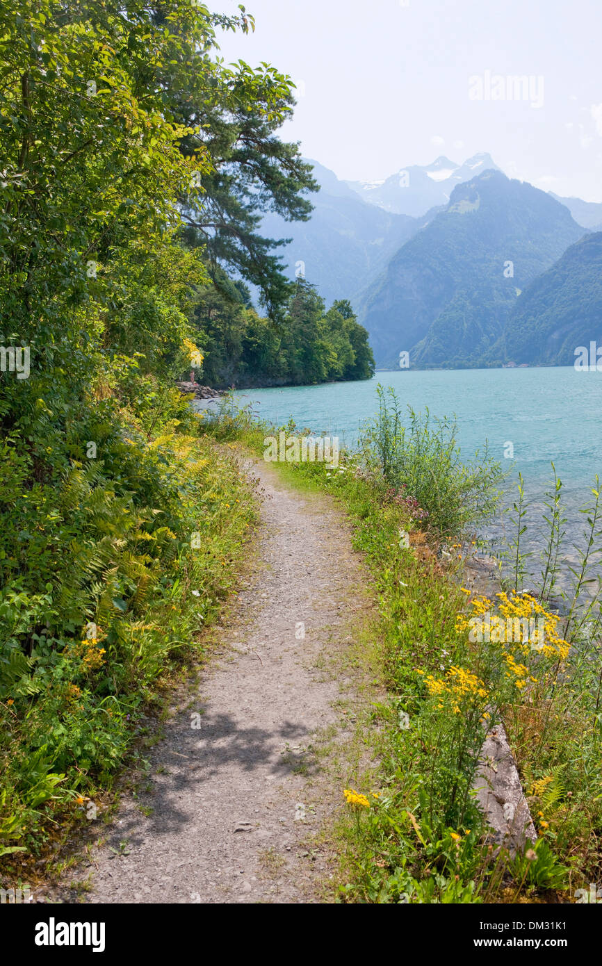 Switzerland europe lake lucerne urnersee hi-res stock photography and ...