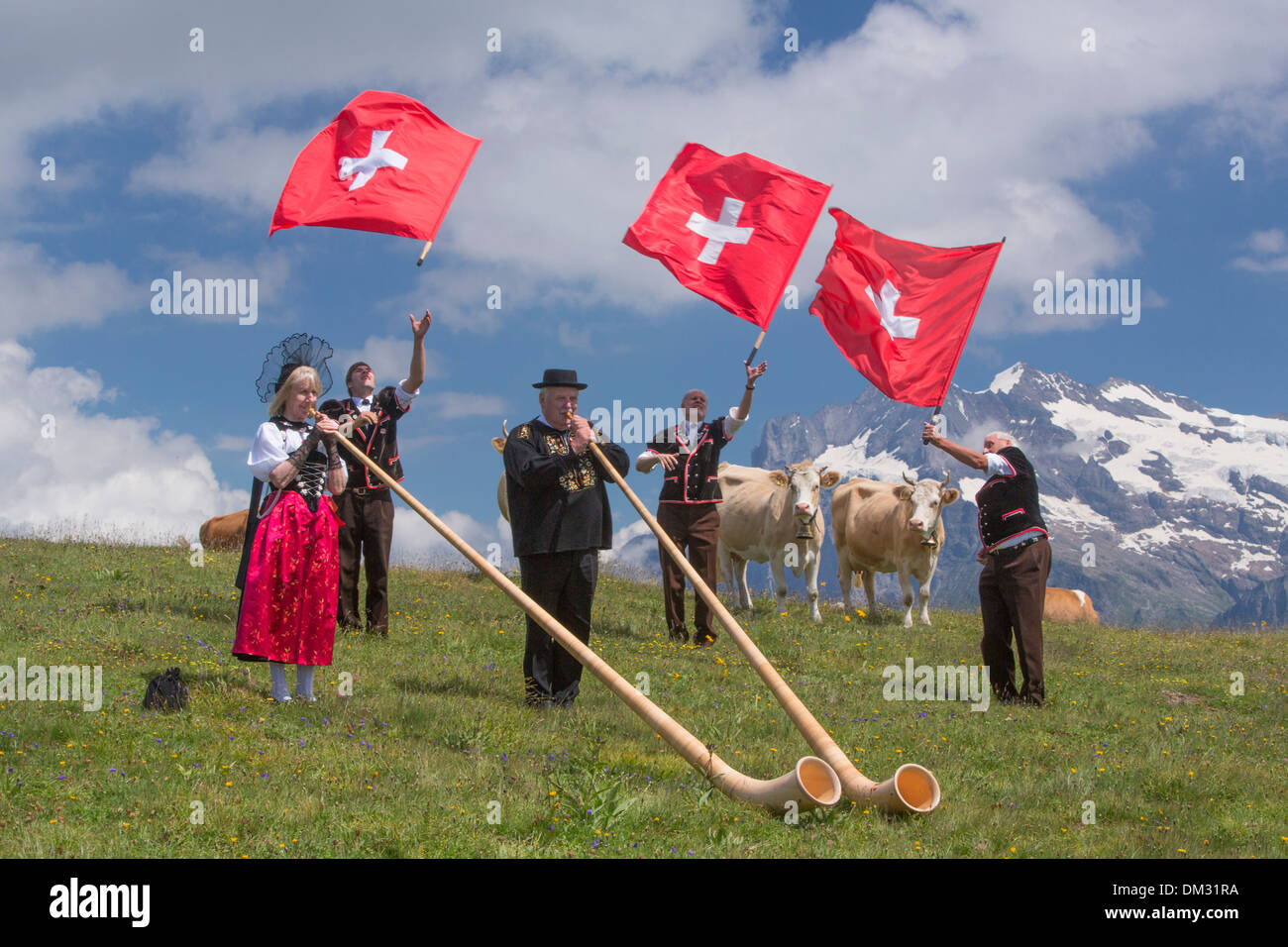 Switzerland Europe alphorn flag throwing flag swing tradition folklore ...
