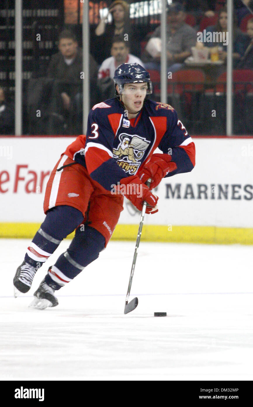 Grand Rapids Griffins Defenseman Logan Pyett (3) controls the puck into ...
