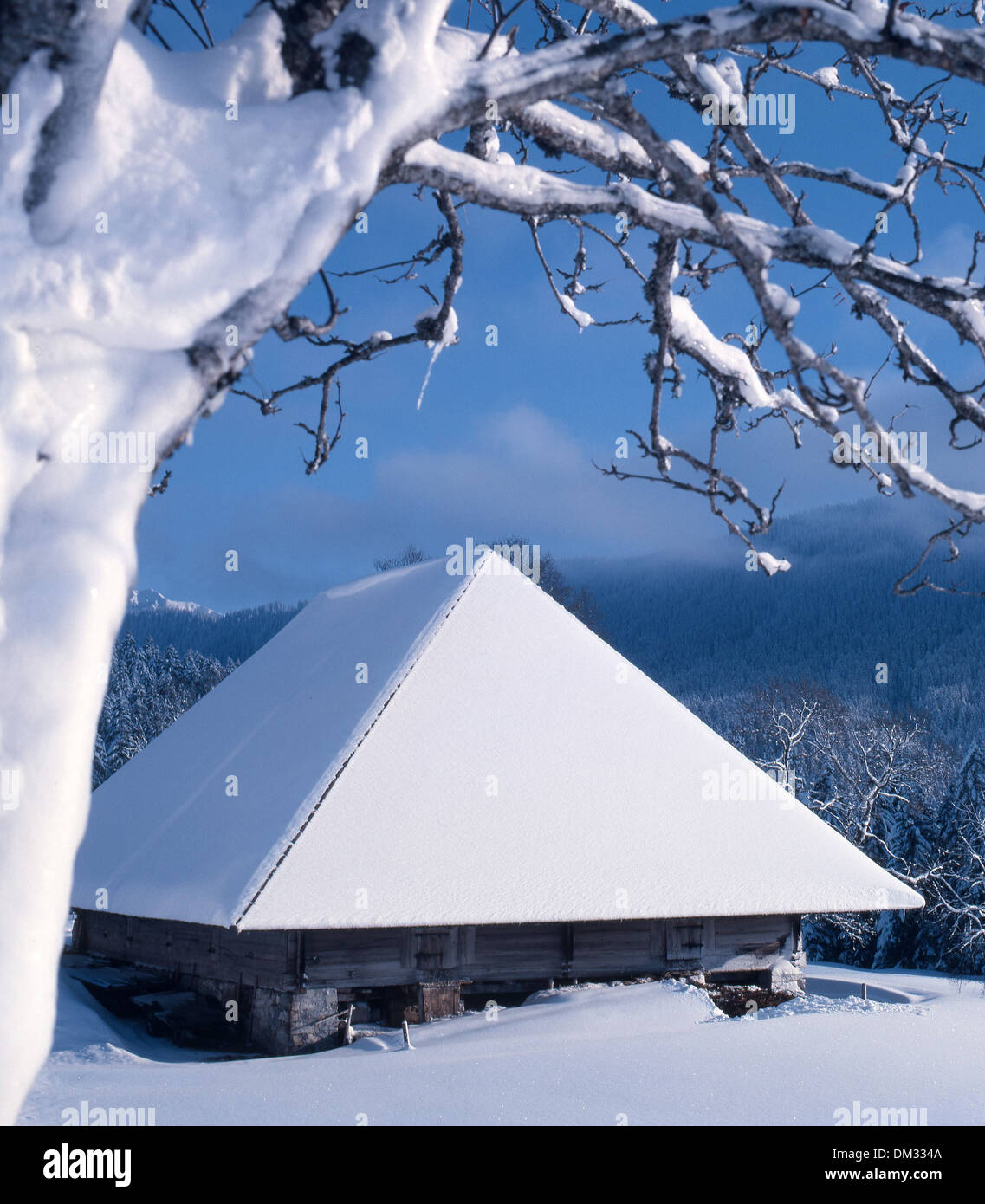 Switzerland, Europe, canton, Bern, agriculture, barn, alp hut, winter ...