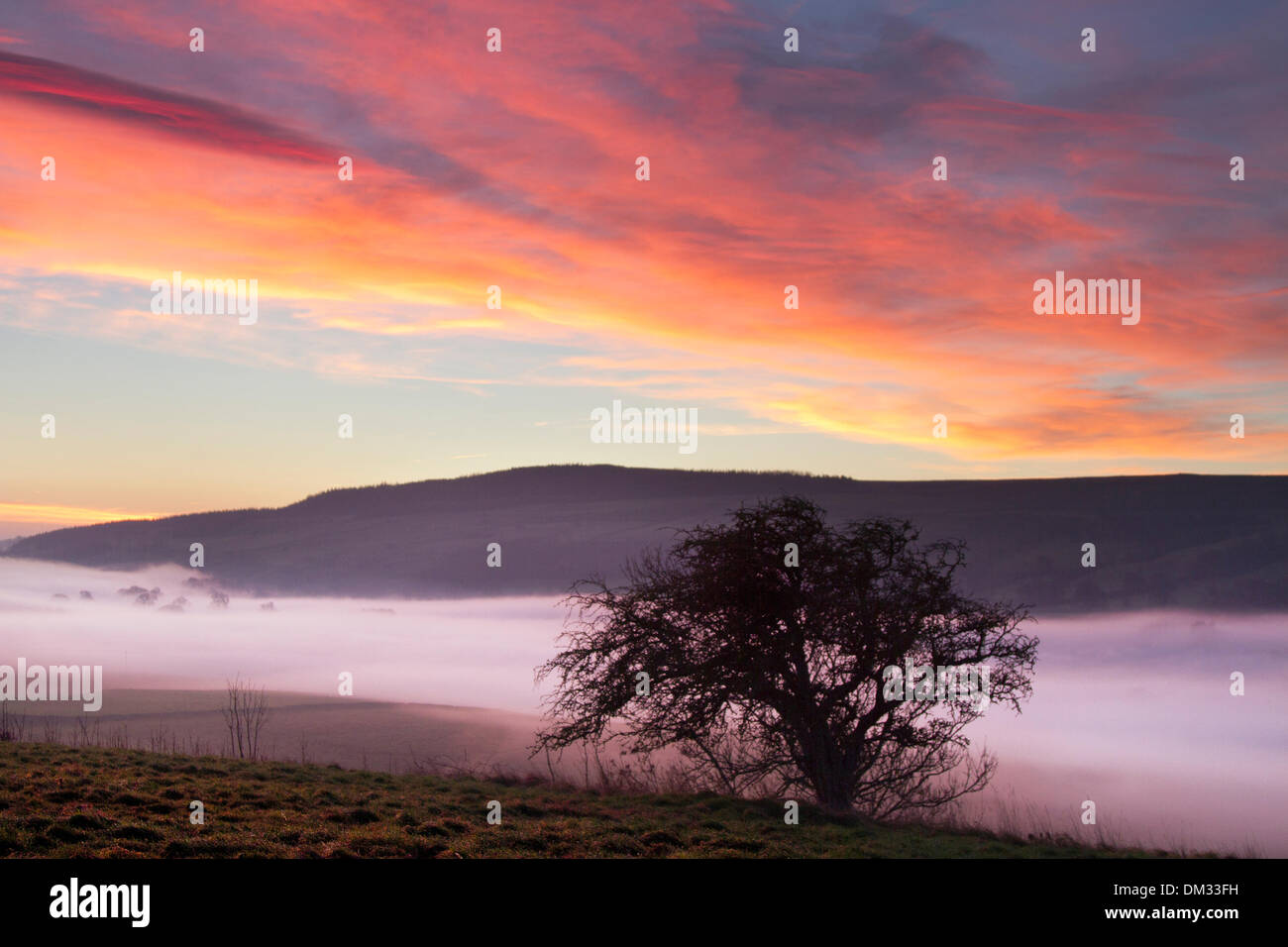 Middleham, Yorkshire, UK. 11th December 2013. Early morning Weather at ...