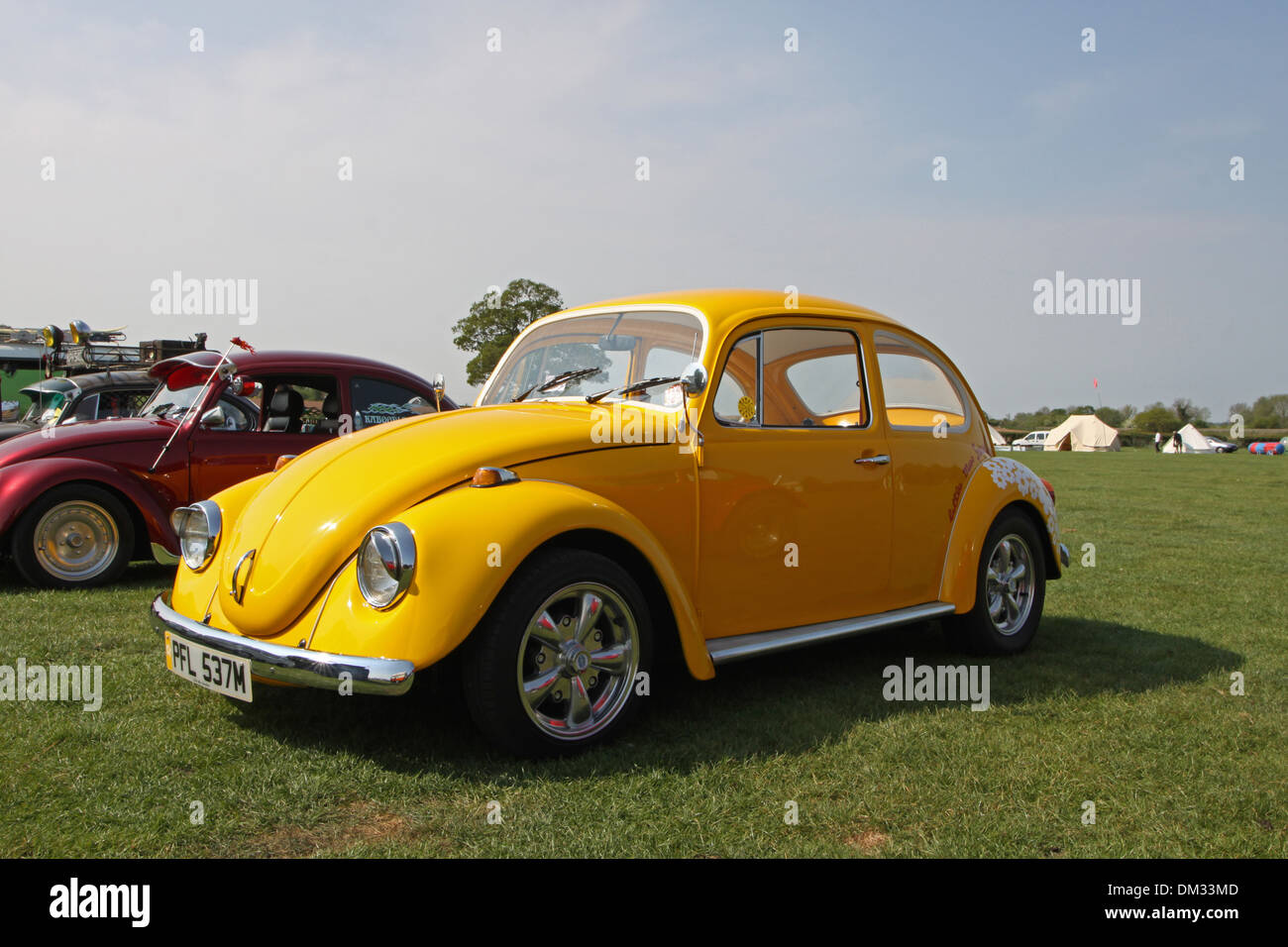 VW Beetle at a VW show Stock Photo - Alamy