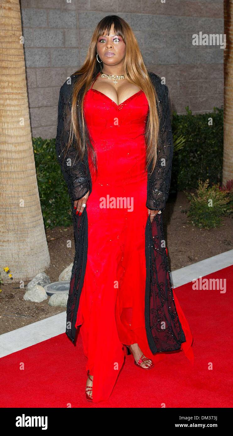 Brandy moss hi-res stock photography and images - Alamy