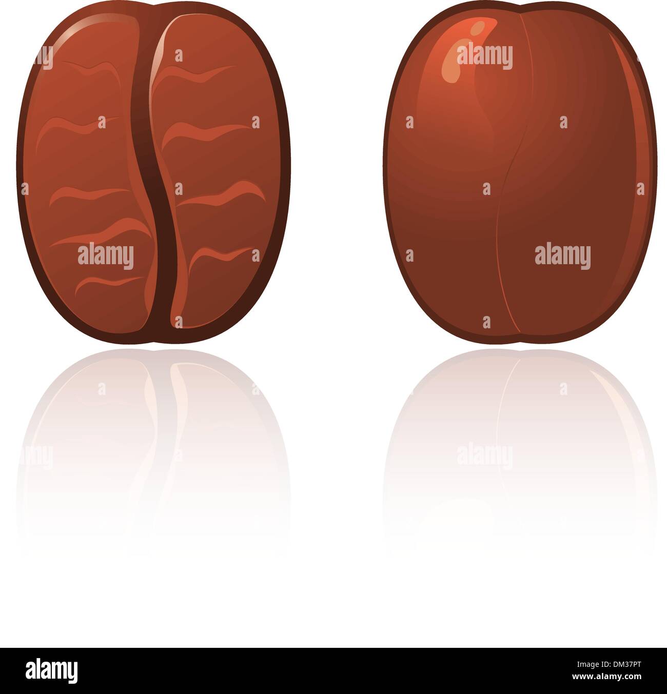 Coffee grain. Vector illustration Stock Vector Image & Art - Alamy