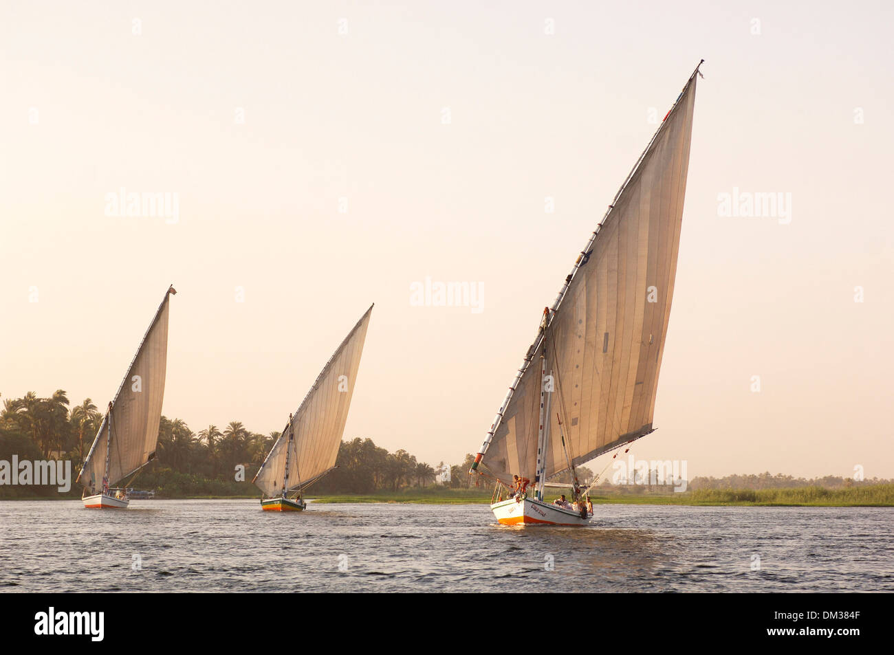 Africa, Egypt, Middle East, Felucca, Nile, River, Sail Boat, Luxor ...