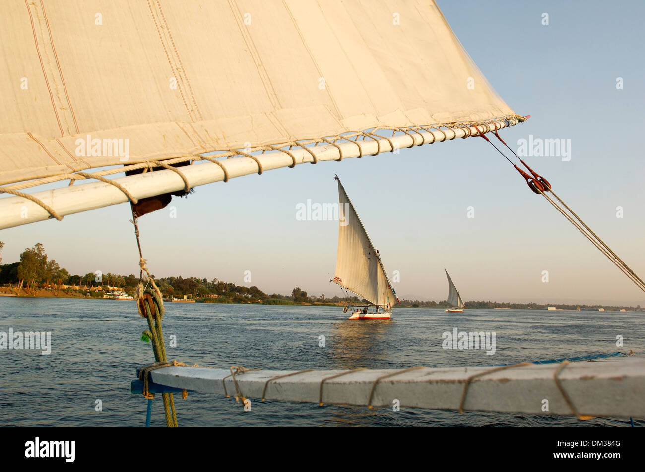 Africa, Egypt, Middle East, Felucca, Nile, River, Sail Boat, Luxor ...