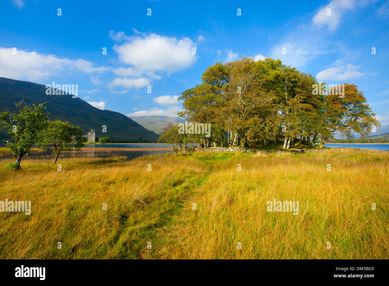 Loch Awe, Great Britain, Europe, Scotland, lake, water, way, meadow ...