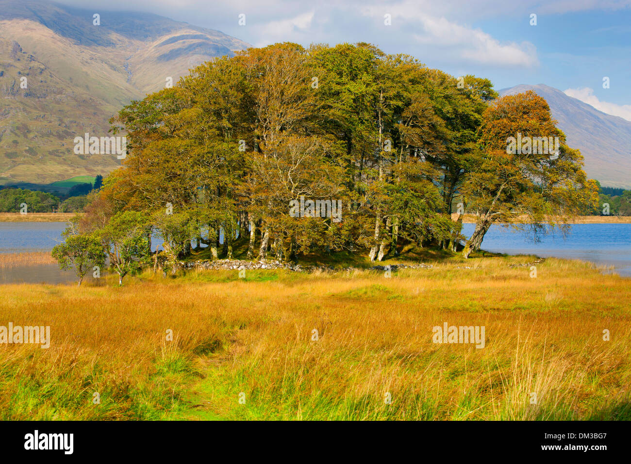 Loch Awe, Great Britain, Europe, Scotland, lake, water, meadow, trees ...