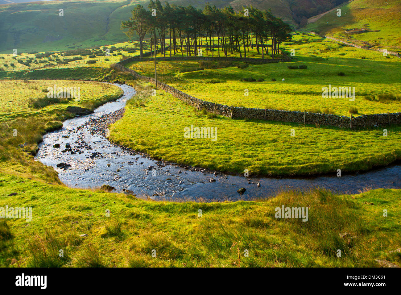 Moffat water valley hi-res stock photography and images - Alamy