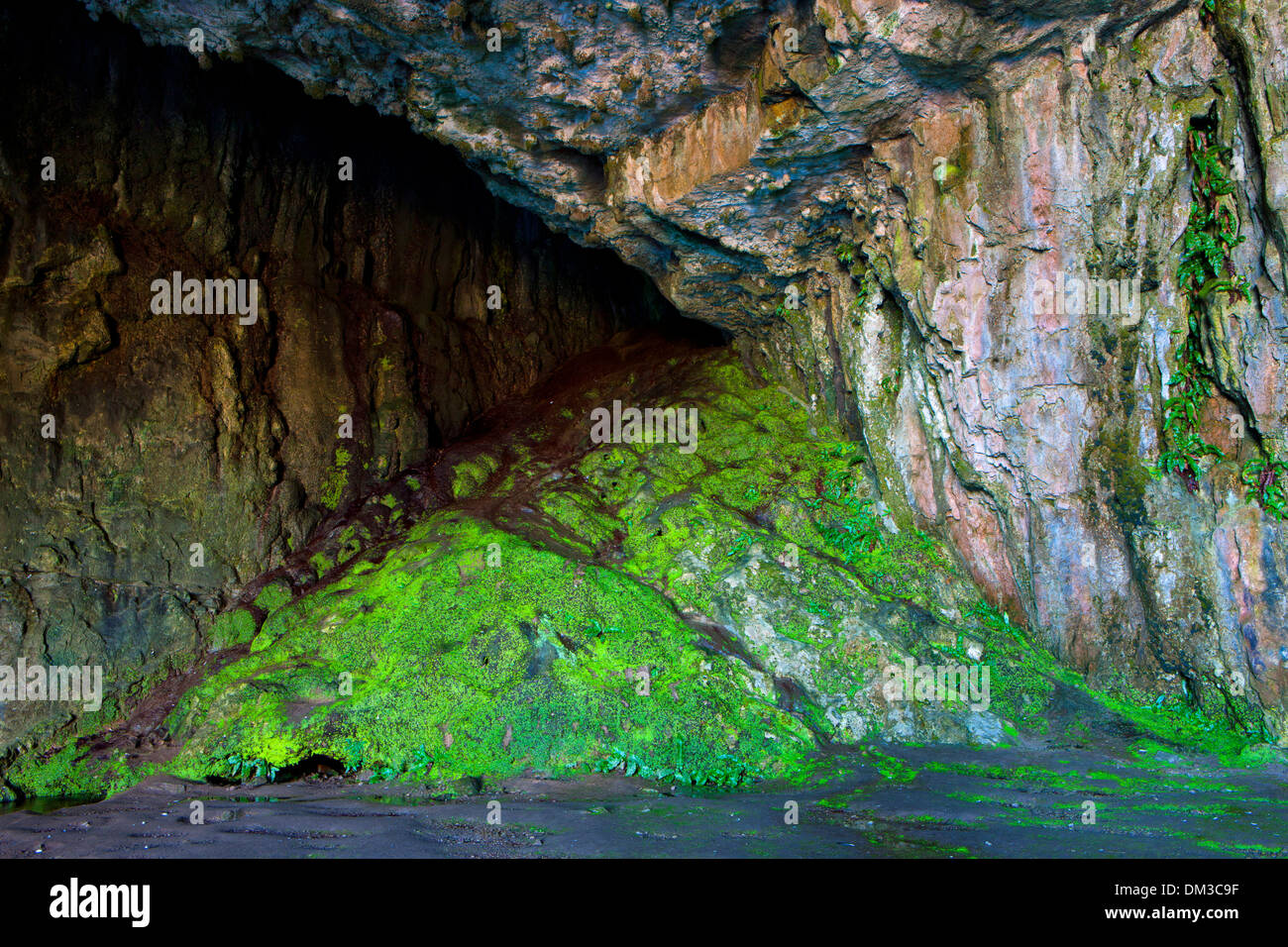 Smoo Cave, Great Britain, Europe, Scotland, rock, cliff, cave entrance ...